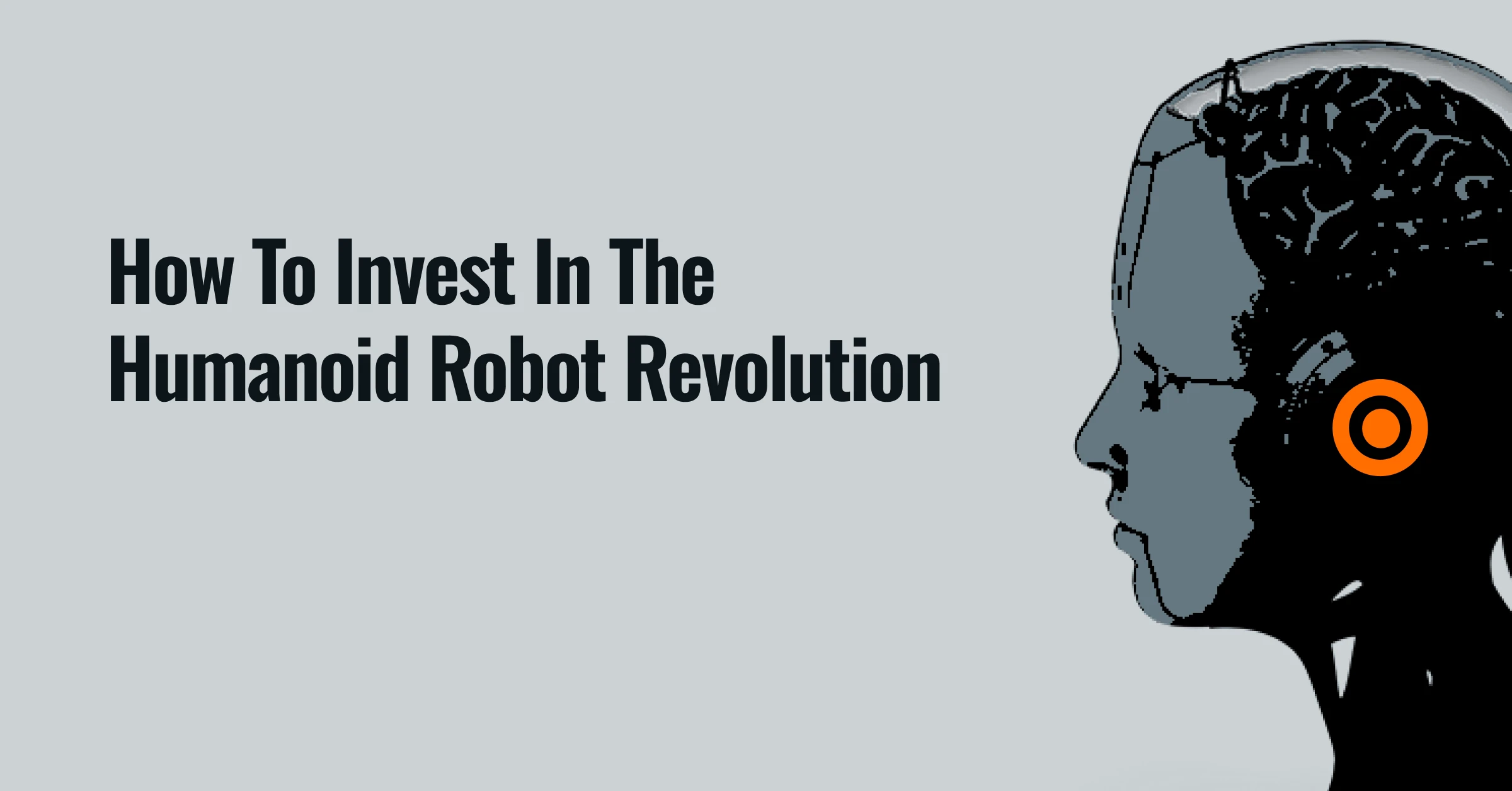 How to Invest in the Humanoid Robot Revolution